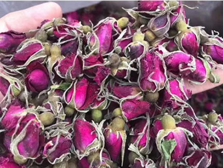 Introduction to Flower Drying Machine - Dryera