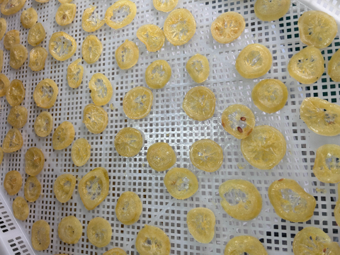 Applications - Dryera