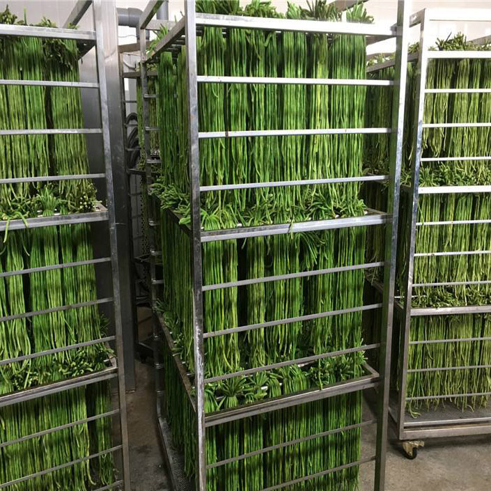 China Wholesale Food Dehydrator Machine Manufacturers & Suppliers - Dryera